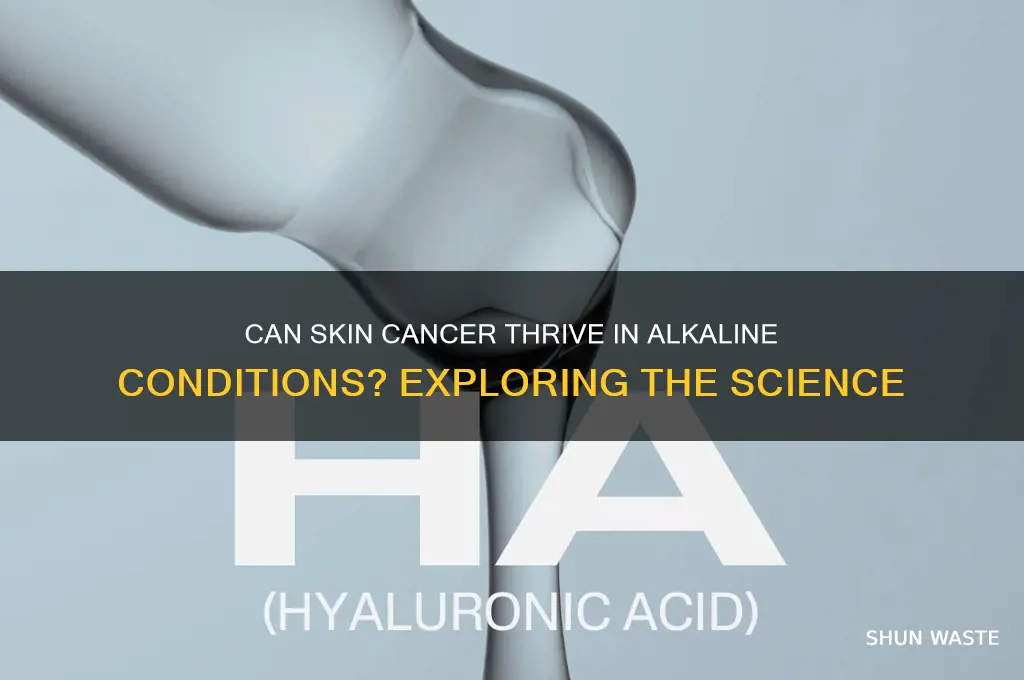 Can Skin Cancer Thrive In Alkaline Conditions? Exploring The Science ...