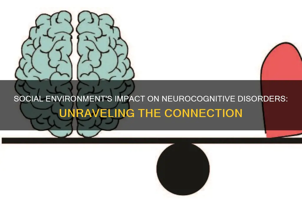 Social Environment's Impact On Neurocognitive Disorders: Unraveling The ...