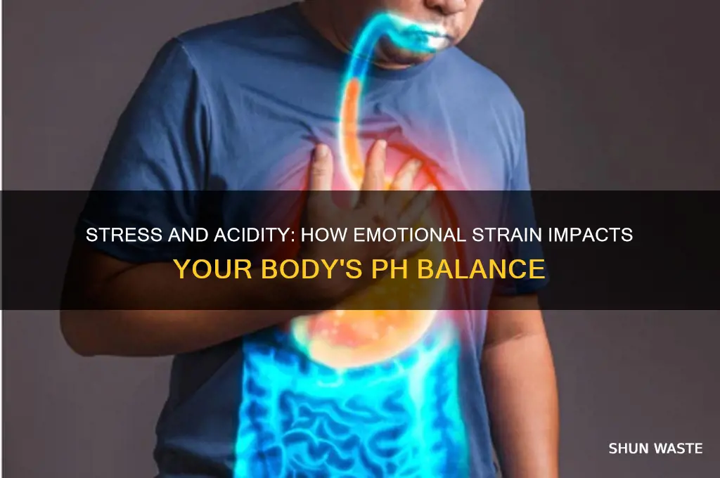 Stress And Acidity: How Emotional Strain Impacts Your Body's Ph Balance ...