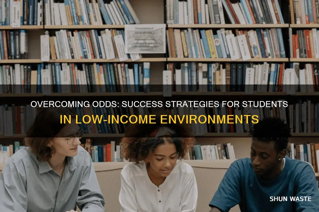 Overcoming Odds: Success Strategies For Students In Low-Income ...