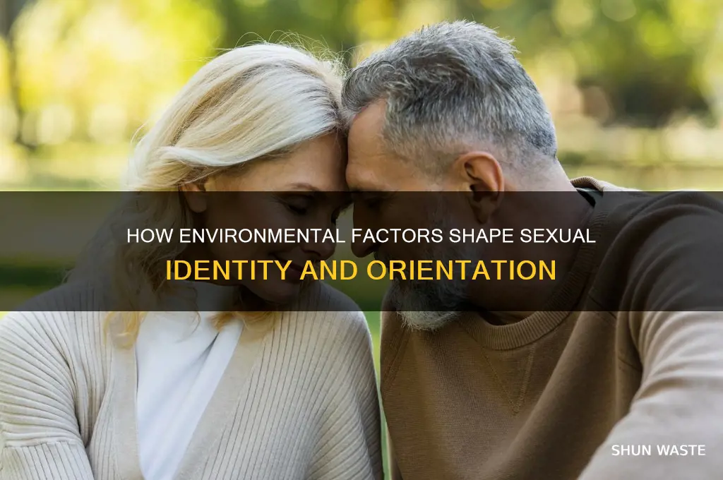 How Environmental Factors Shape Sexual Identity And Orientation | ShunWaste