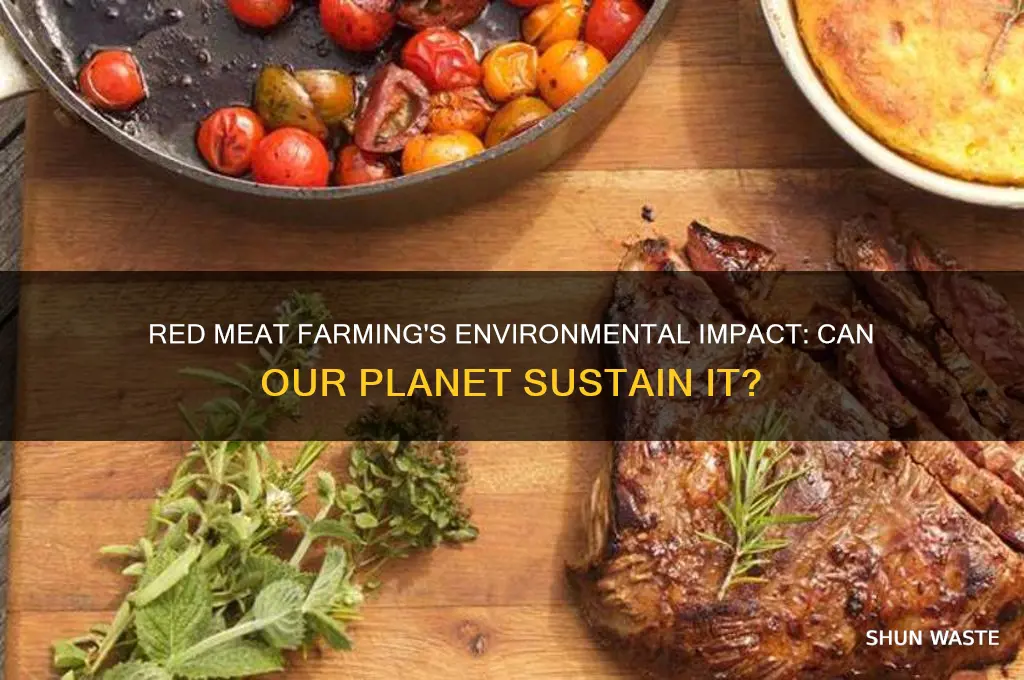 Red Meat Farming's Environmental Impact: Can Our Planet Sustain It ...