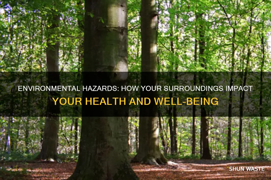 Environmental Hazards: How Your Surroundings Impact Your Health And ...