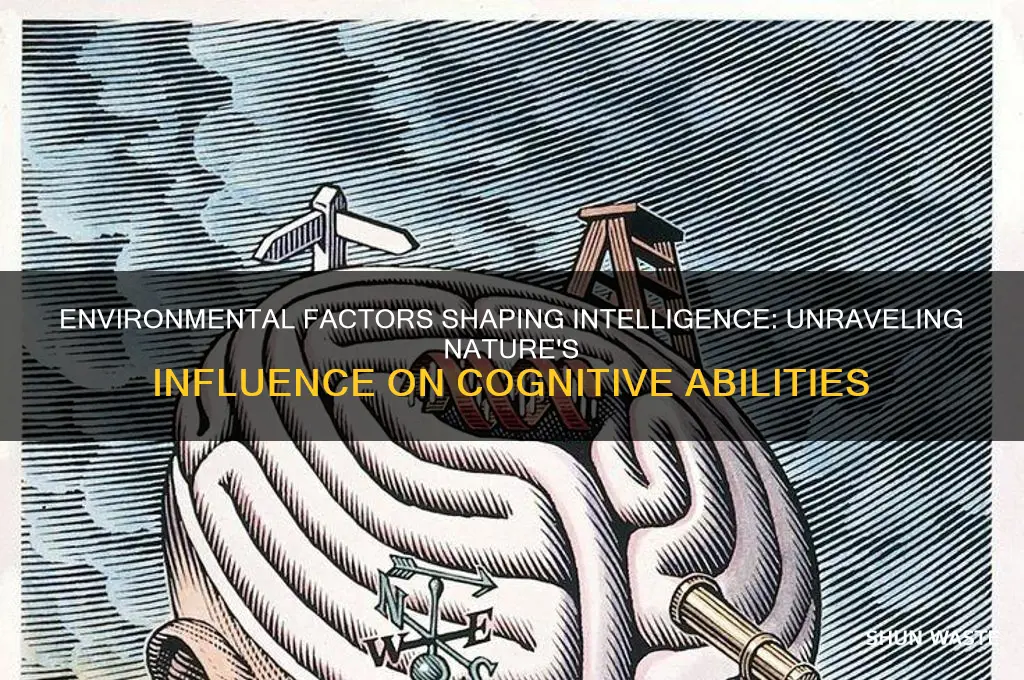 Environmental Factors Shaping Intelligence: Unraveling Nature's ...