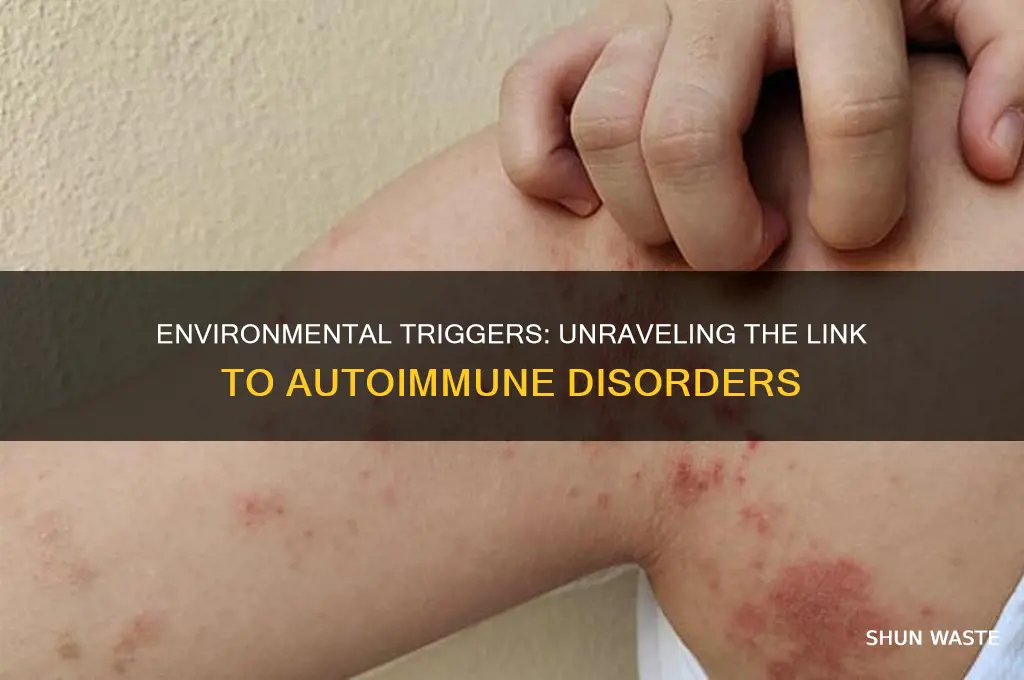 Environmental Triggers: Unraveling The Link To Autoimmune Disorders ...