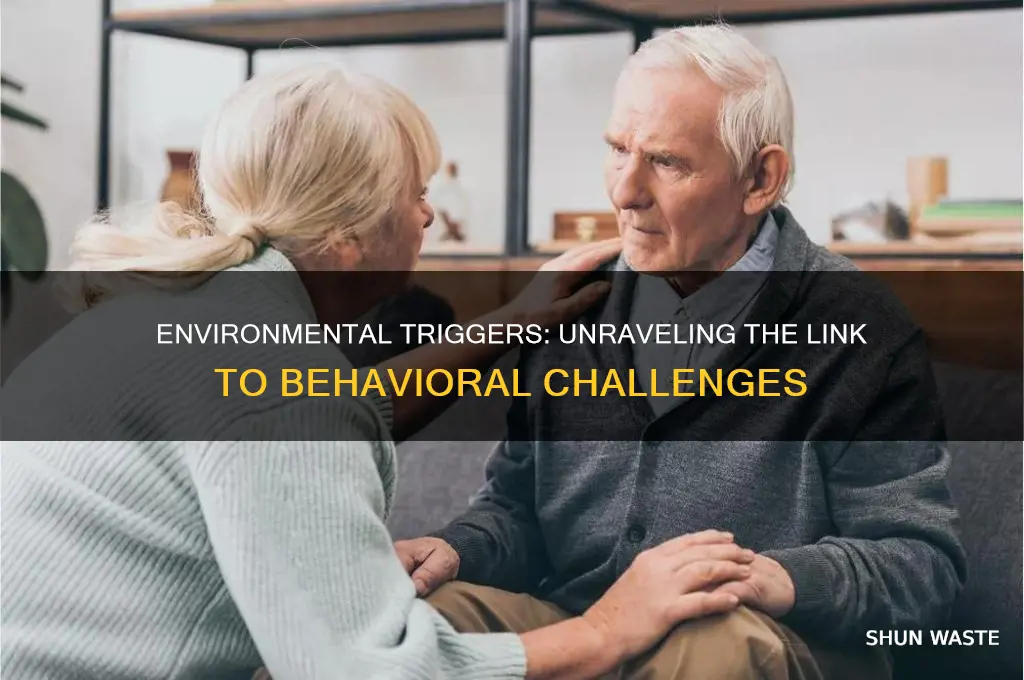 Environmental Triggers: Unraveling The Link To Behavioral Challenges ...