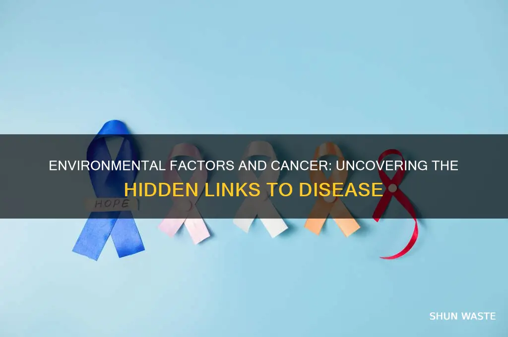 Environmental Factors And Cancer: Uncovering The Hidden Links To ...