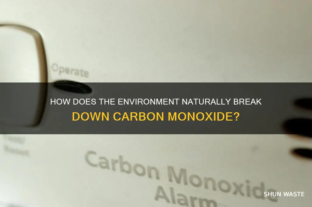 How Does The Environment Naturally Break Down Carbon Monoxide? | ShunWaste