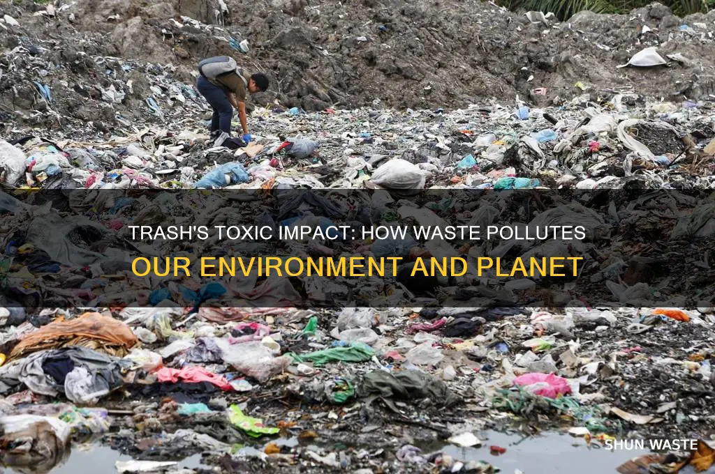 Trash's Toxic Impact: How Waste Pollutes Our Environment And Planet ...