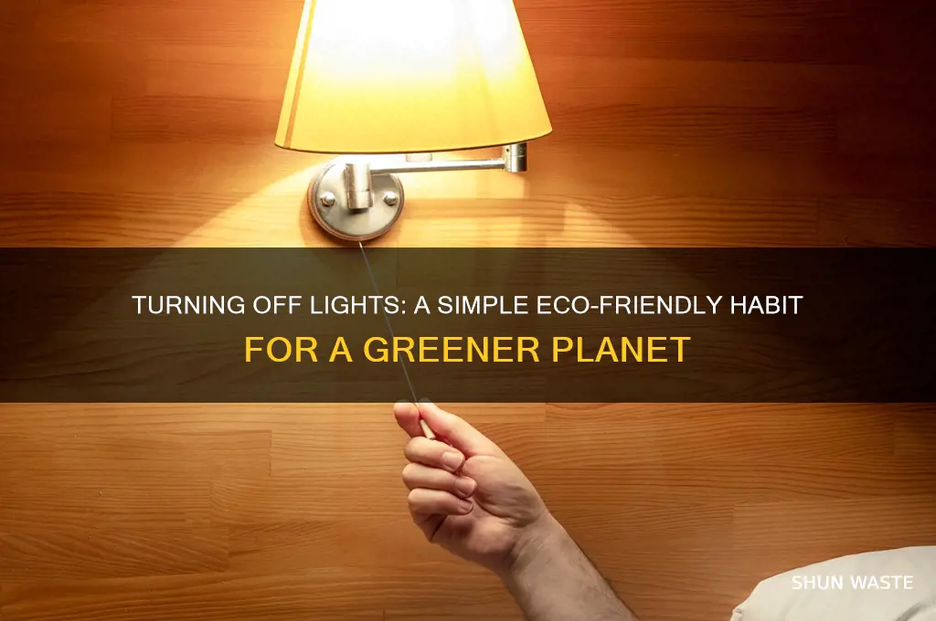 Turning Off Lights: A Simple Eco-Friendly Habit For A Greener Planet ...