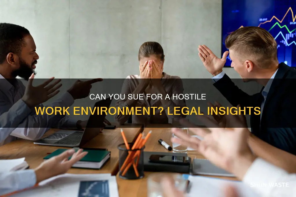 Can You Sue For A Hostile Work Environment? Legal Insights | ShunWaste