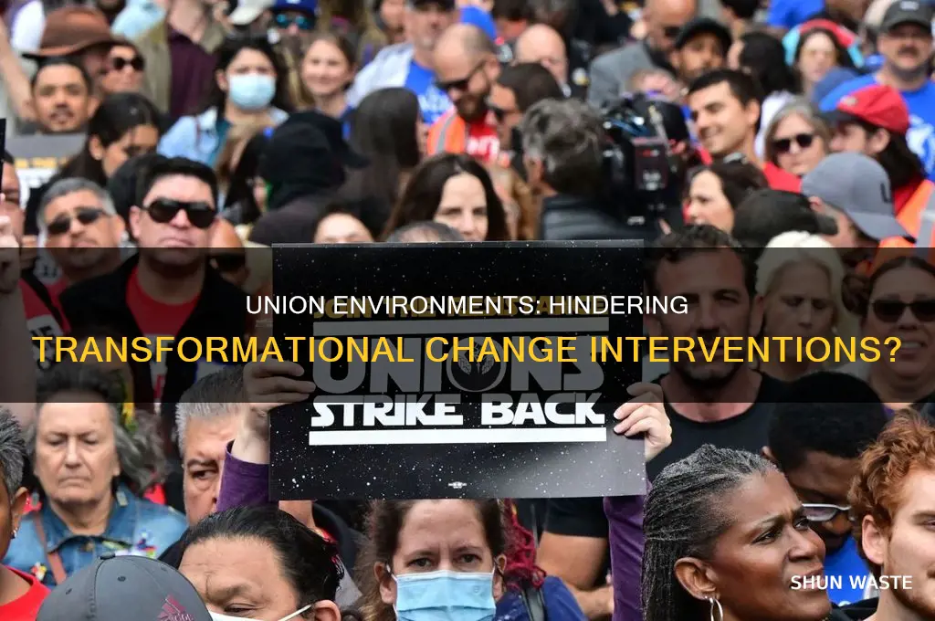 Union Environments: Hindering Transformational Change Interventions ...
