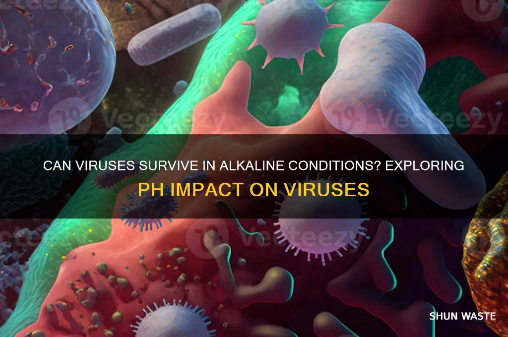 Can Viruses Survive In Alkaline Conditions? Exploring Ph Impact On ...