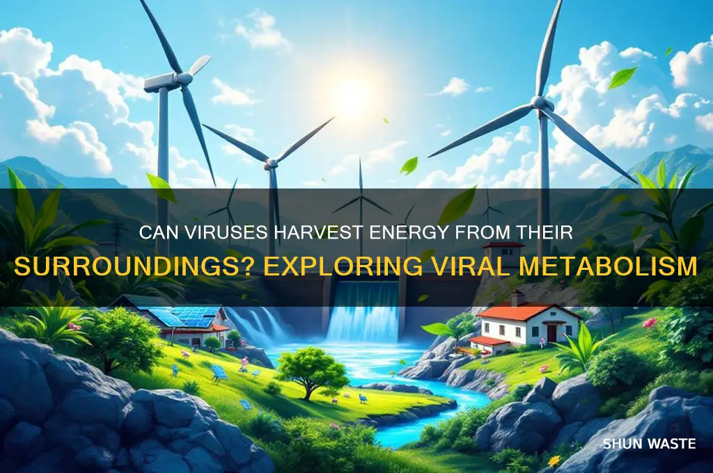 Can Viruses Harvest Energy From Their Surroundings? Exploring Viral ...
