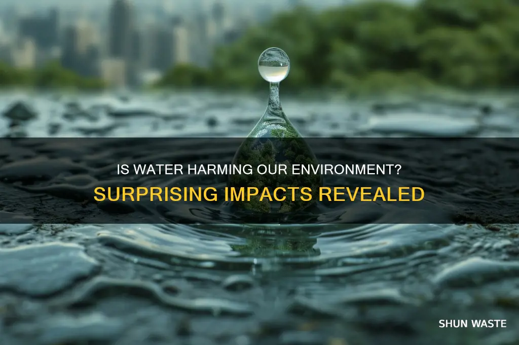 Is Water Harming Our Environment? Surprising Impacts Revealed | ShunWaste