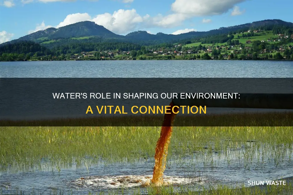 Water's Role In Shaping Our Environment: A Vital Connection | ShunWaste