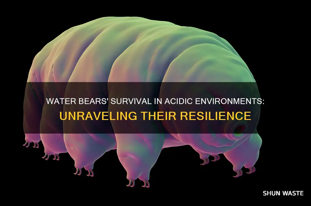 Water Bears' Survival In Acidic Environments: Unraveling Their ...