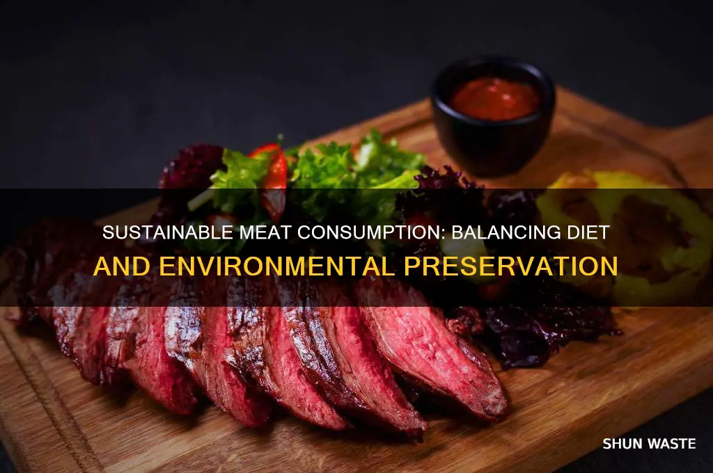 Sustainable Meat Consumption: Balancing Diet And Environmental ...