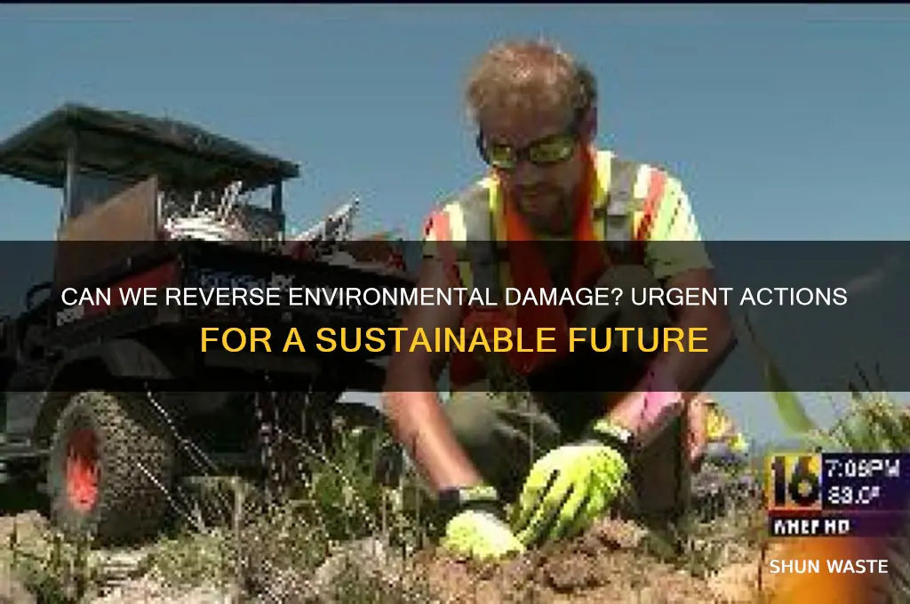 Can We Reverse Environmental Damage? Urgent Actions For A Sustainable ...