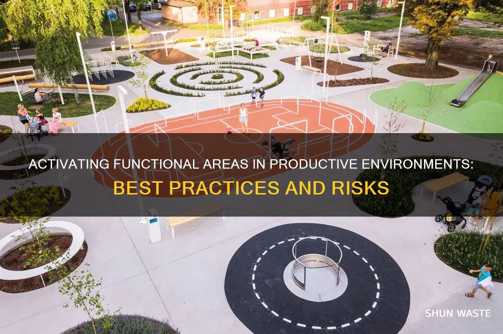 Activating Functional Areas In Productive Environments: Best Practices ...