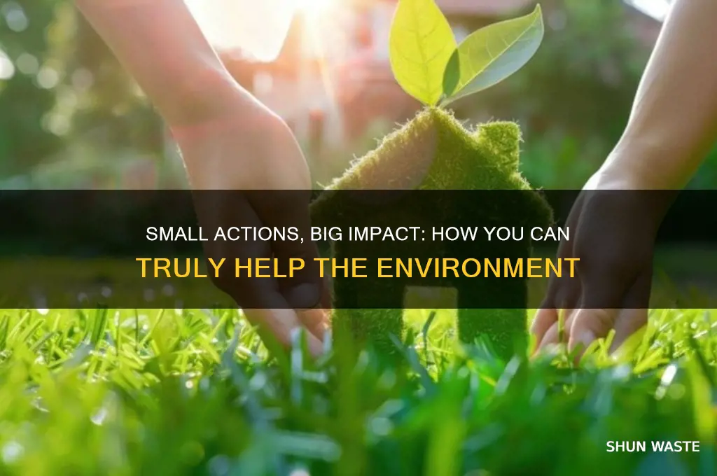 Small Actions, Big Impact: How You Can Truly Help The Environment ...