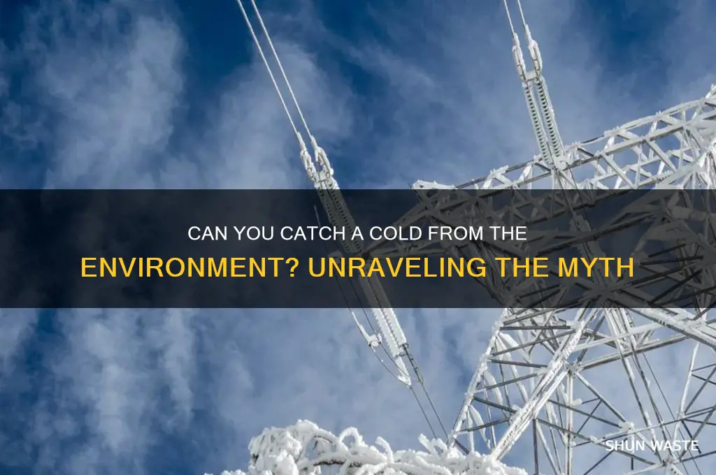 Can You Catch A Cold From The Environment? Unraveling The Myth | ShunWaste