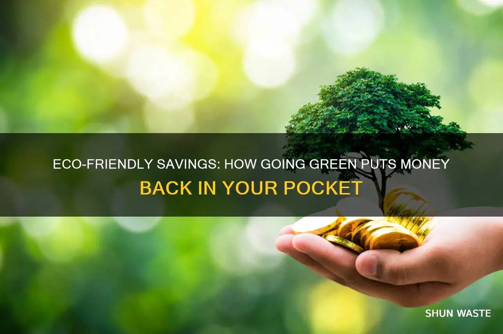 Eco-Friendly Savings: How Going Green Puts Money Back In Your Pocket ...