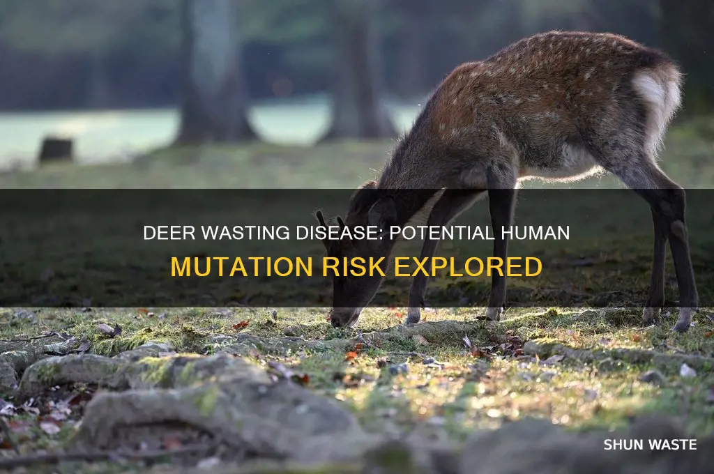 Deer Wasting Disease: Potential Human Mutation Risk Explored | ShunWaste