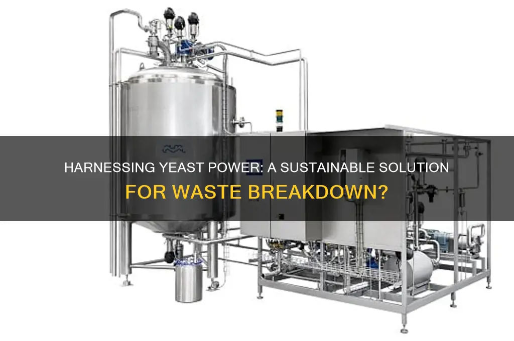 Harnessing Yeast Power: A Sustainable Solution For Waste Breakdown ...