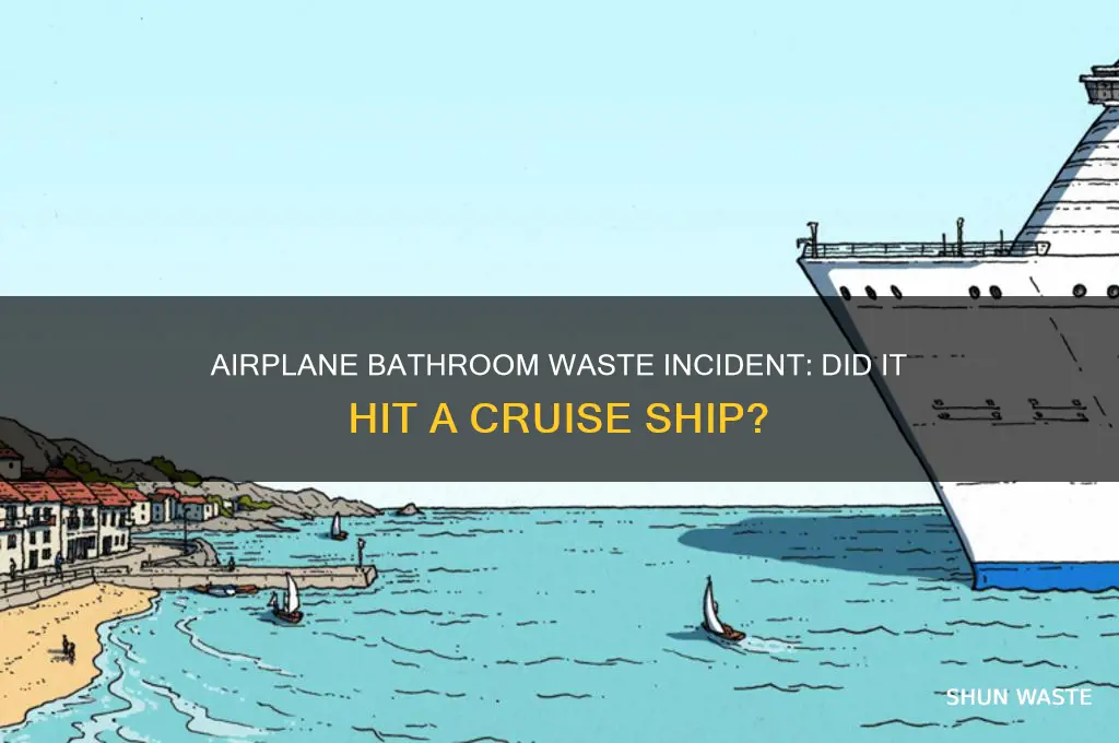 Airplane Bathroom Waste Incident: Did It Hit A Cruise Ship? | ShunWaste