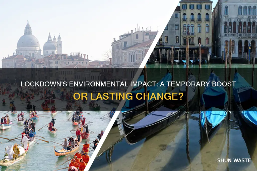 Lockdown's Environmental Impact: A Temporary Boost Or Lasting Change ...