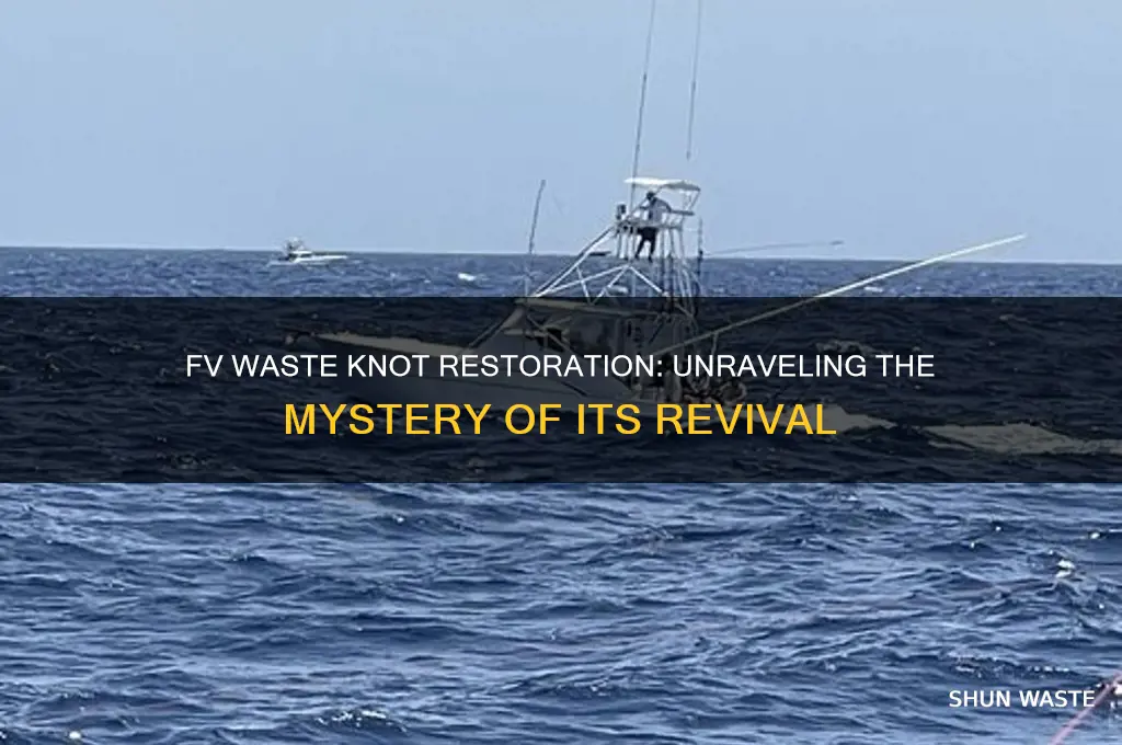 Fv Waste Knot Restoration: Unraveling The Mystery Of Its Revival ...