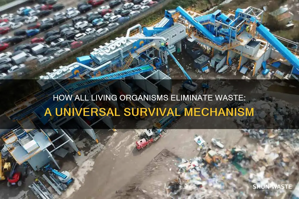 How All Living Organisms Eliminate Waste: A Universal Survival ...