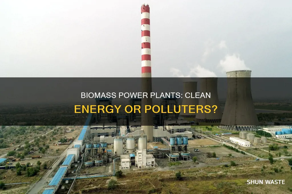 Biomass Power Plants: Clean Energy Or Polluters? | ShunWaste