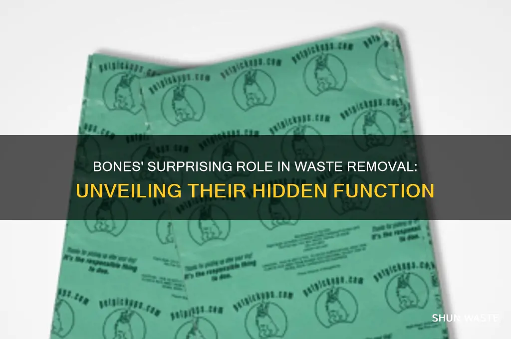 Bones' Surprising Role In Waste Removal: Unveiling Their Hidden ...