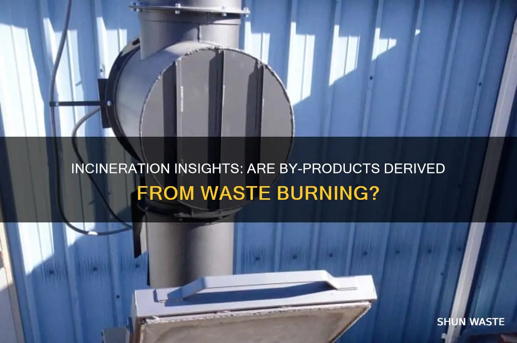 Incineration Insights: Are By-Products Derived From Waste Burning ...