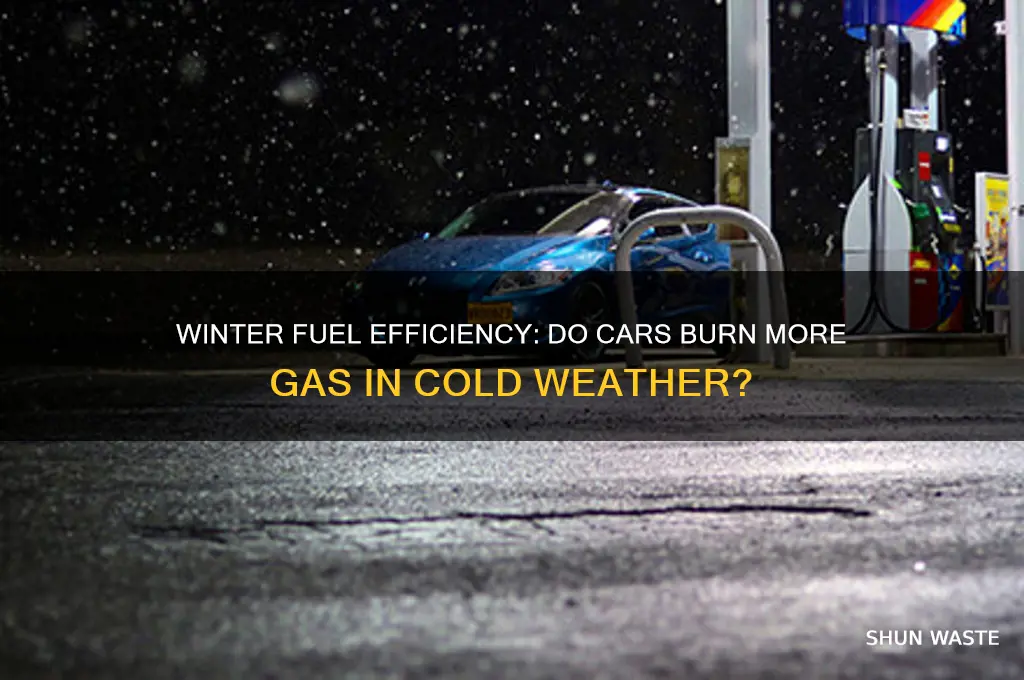 Winter Fuel Efficiency: Do Cars Burn More Gas In Cold Weather? | ShunWaste