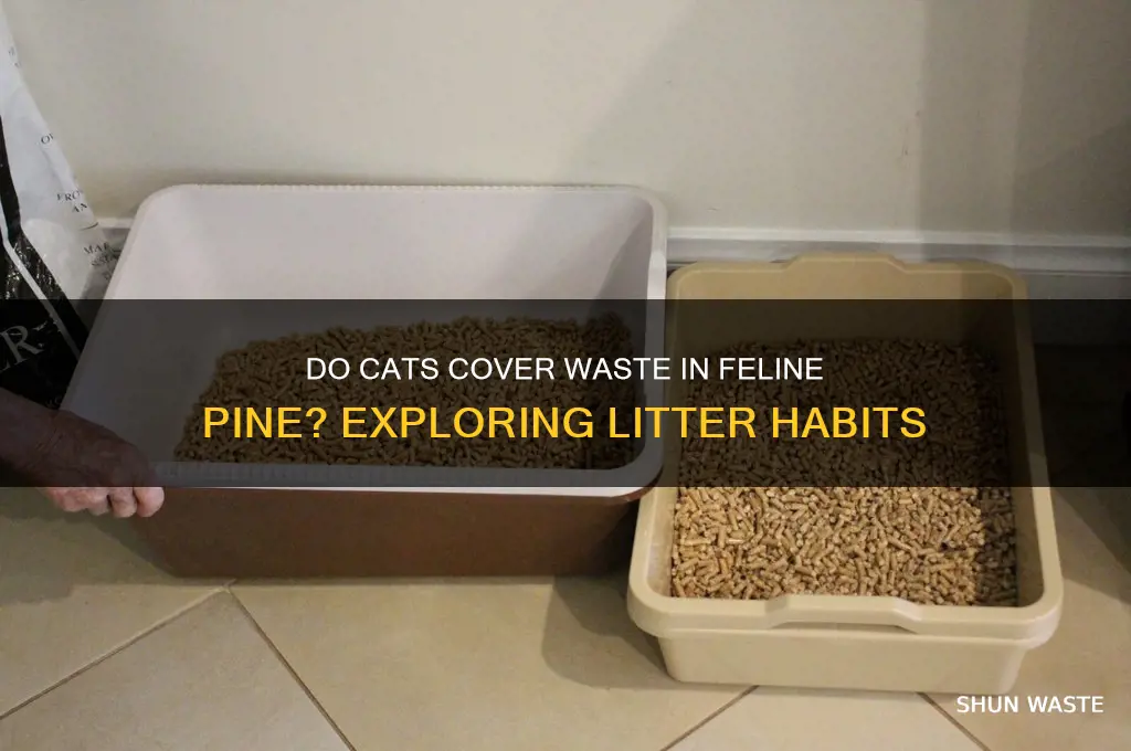 Do Cats Cover Waste In Feline Pine? Exploring Litter Habits | ShunWaste