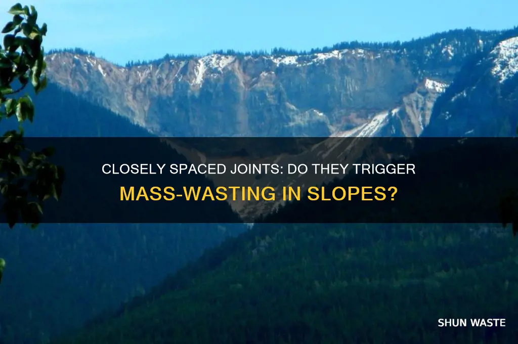 Closely Spaced Joints: Do They Trigger Mass-Wasting In Slopes? | ShunWaste