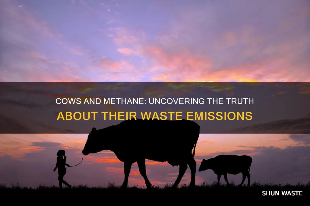 Cows And Methane: Uncovering The Truth About Their Waste Emissions ...