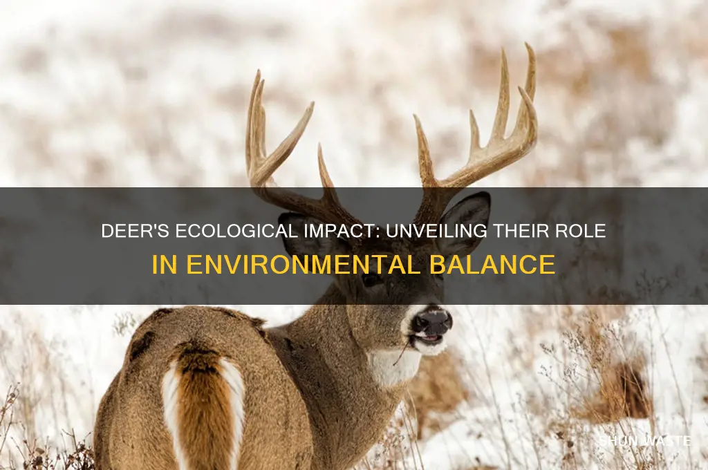 Deer's Ecological Impact: Unveiling Their Role In Environmental Balance ...