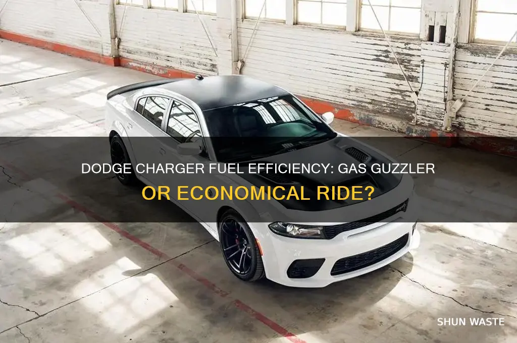 What Size Gas Tank Does A Dodge Charger Have