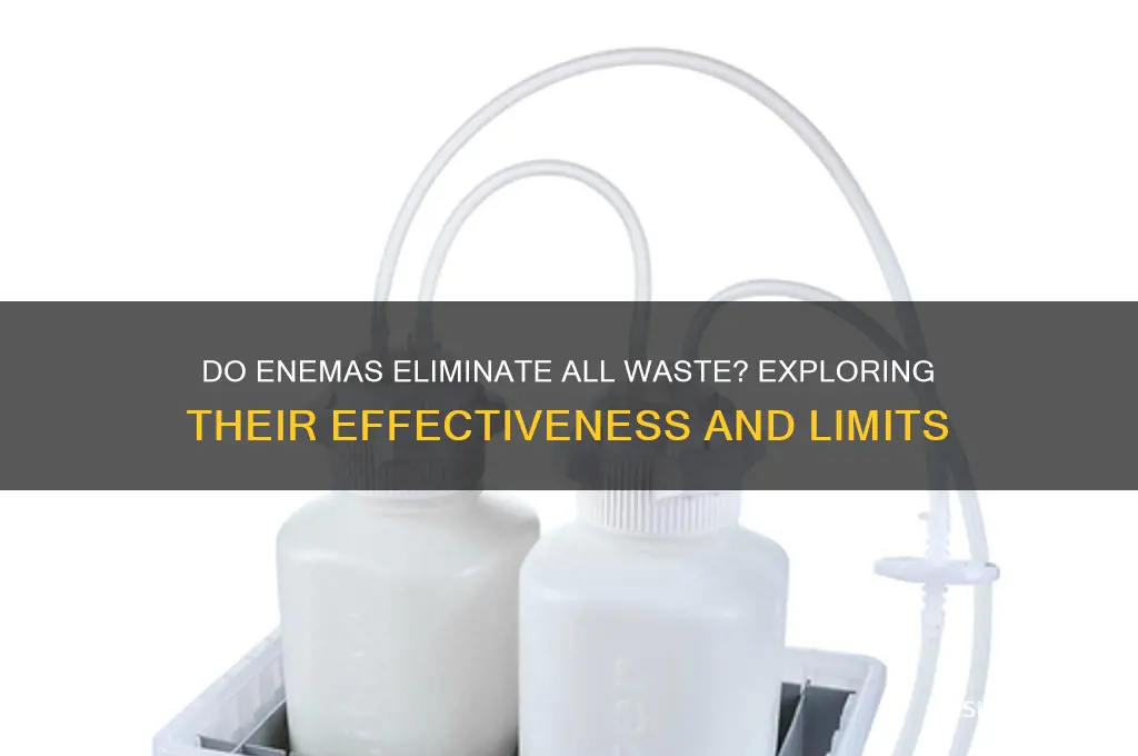 Do Enemas Eliminate All Waste? Exploring Their Effectiveness And Limits ...