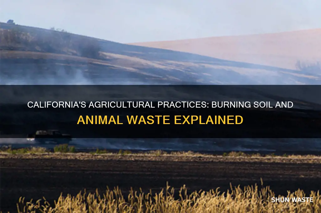 California's Agricultural Practices: Burning Soil And Animal Waste ...