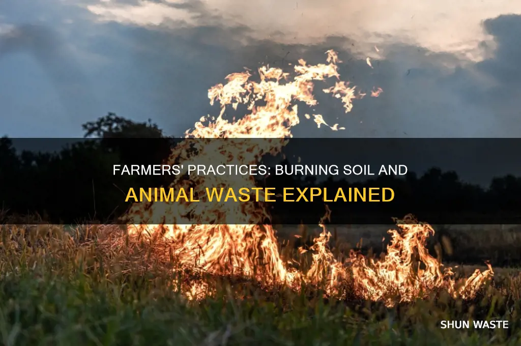 Farmers' Practices: Burning Soil And Animal Waste Explained | ShunWaste
