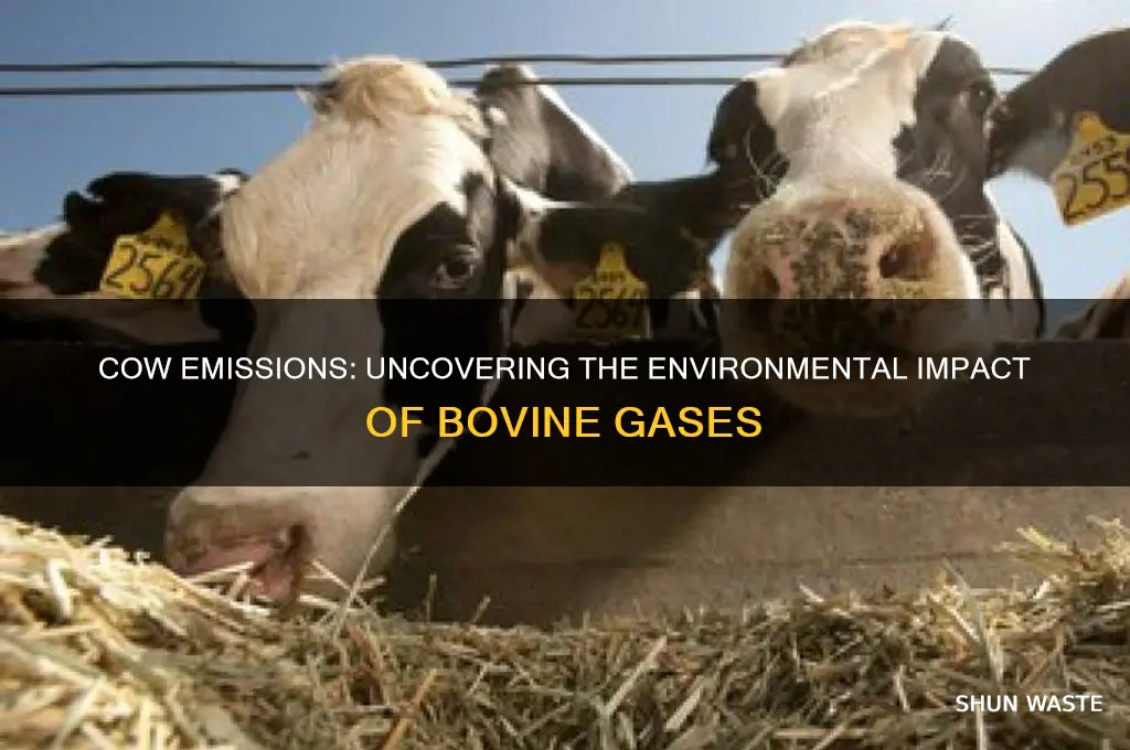 Cow Emissions: Uncovering The Environmental Impact Of Bovine Gases ...