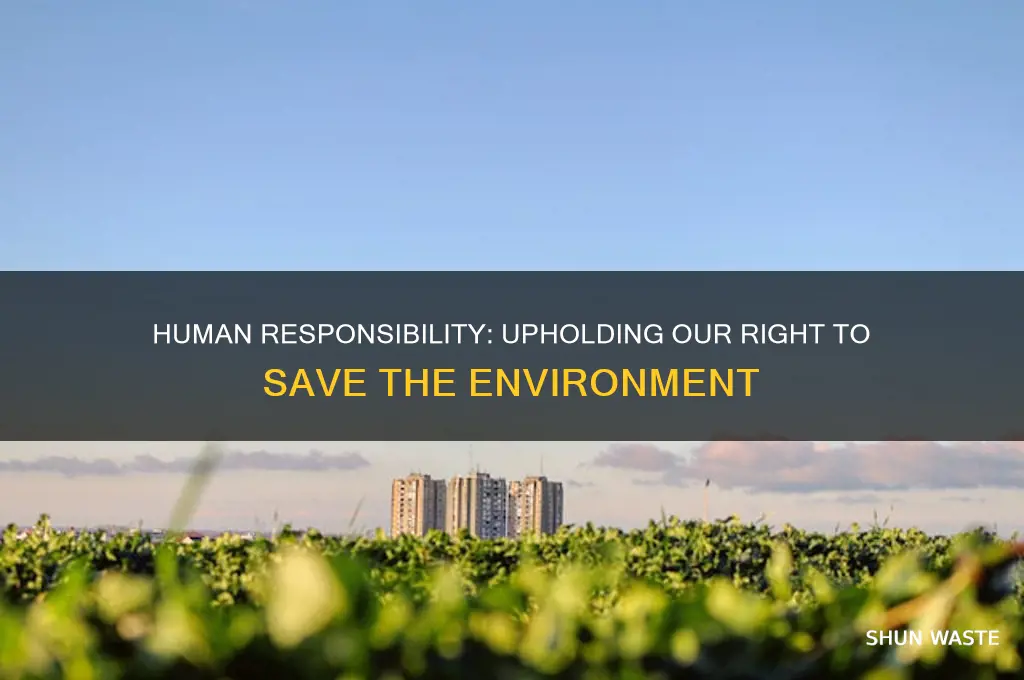 Human Responsibility: Upholding Our Right To Save The Environment ...