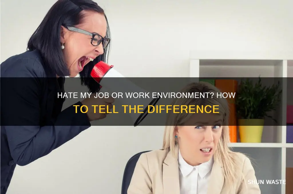 Hate My Job Or Work Environment? How To Tell The Difference | ShunWaste