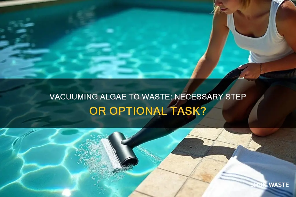 Vacuuming Algae To Waste: Necessary Step Or Optional Task? | ShunWaste