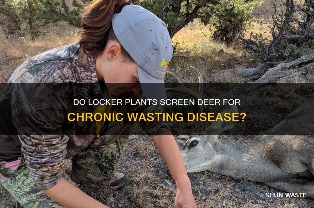 Do Locker Plants Screen Deer For Chronic Wasting Disease? | ShunWaste
